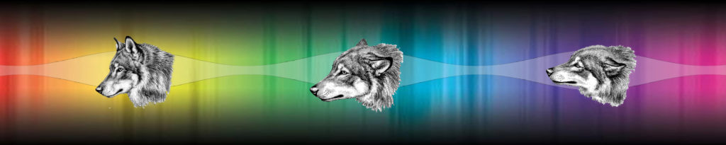 The Spectrum of Behavior - Ethology Institute - Read now FREE