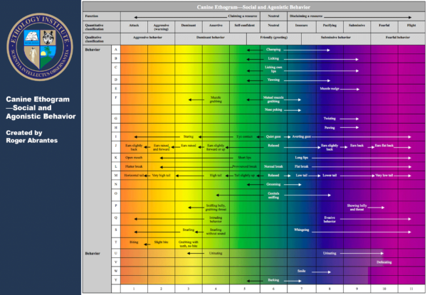 Canine Ethogram—Social and Agonistic Behavior - Ethology - Roger Abrantes