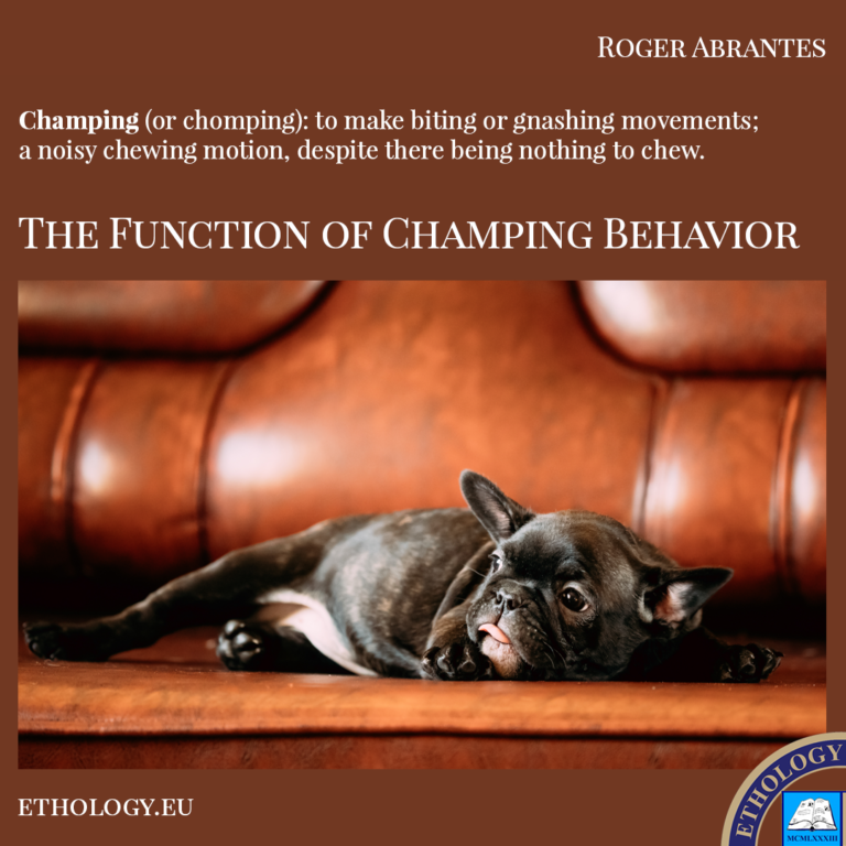 The Function of Champing Behavior - Ethology Institute - Roger Abrantes