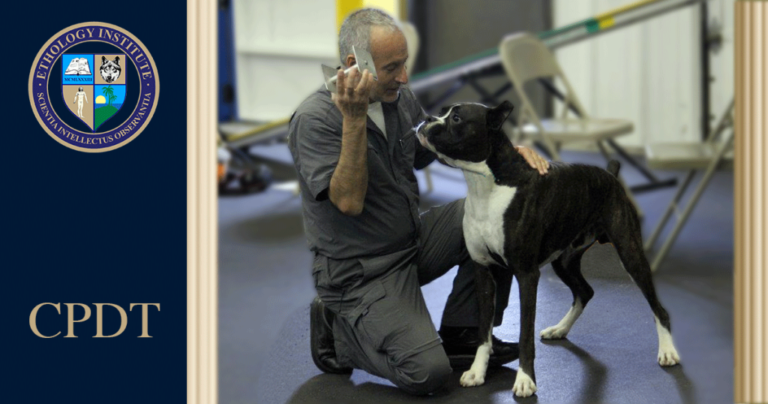 Certification Programs - Ethology Institute - Animal Behavior and Training