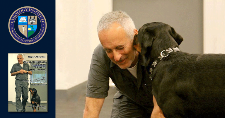 Animal Behavior and Learning Portal - Ethology Institute