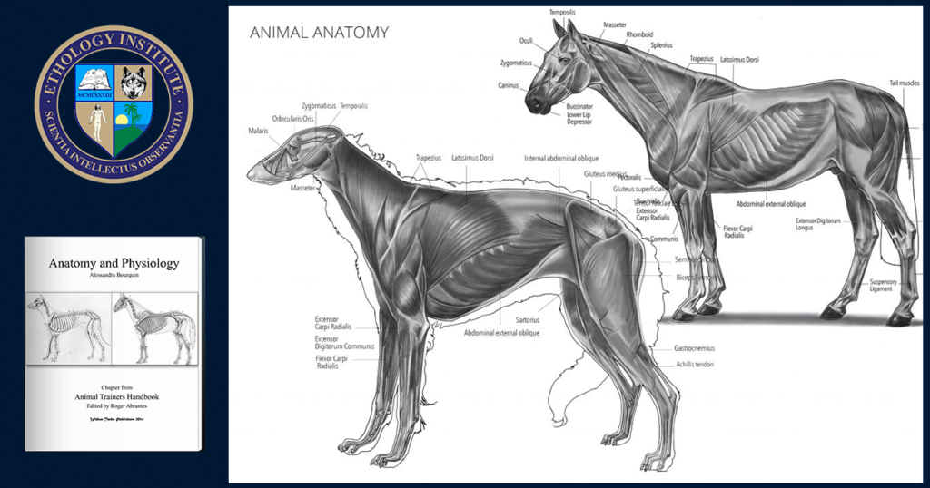 Select a Course - Ethology Institute