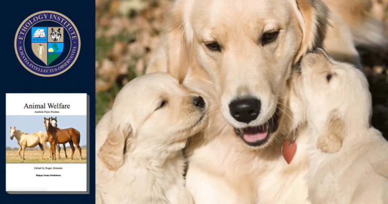 Animal Behavior and Learning Portal - Ethology Institute