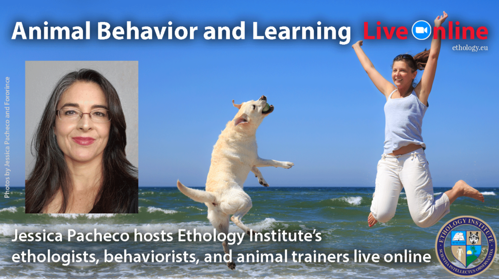 Live Online - Ethology Institute